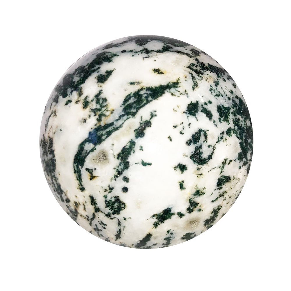 Agate Arbre Dendritique Arborisé - Le Murmure des Pierres